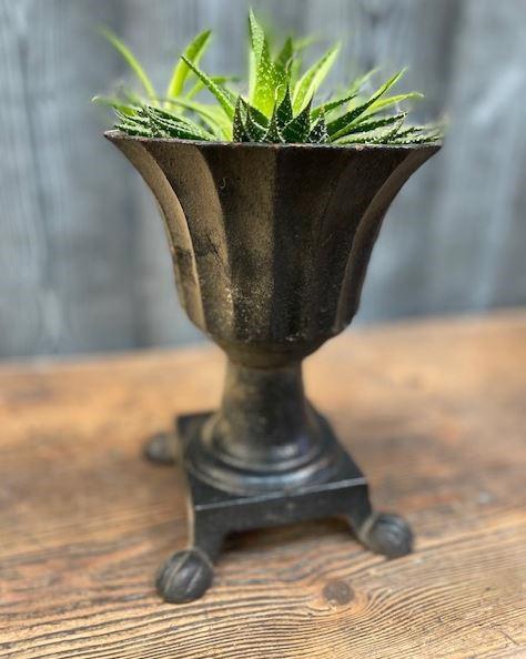 Cast Iron Roman Urn Black - Garden Urns